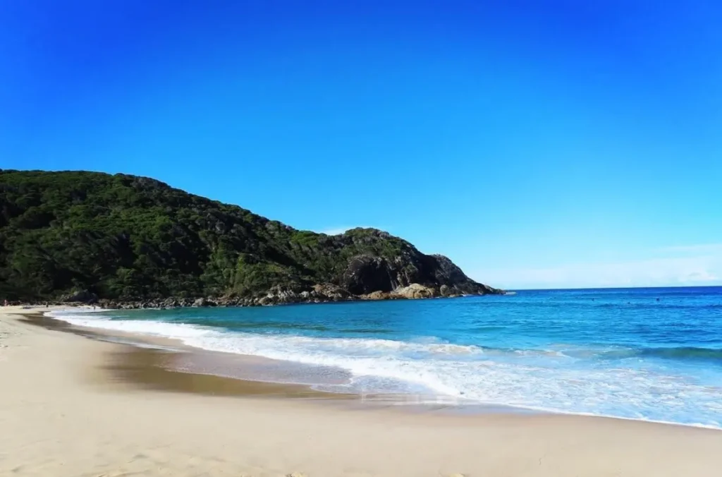 The best surfing spots in Australia - Swan Valley Winery Tours
