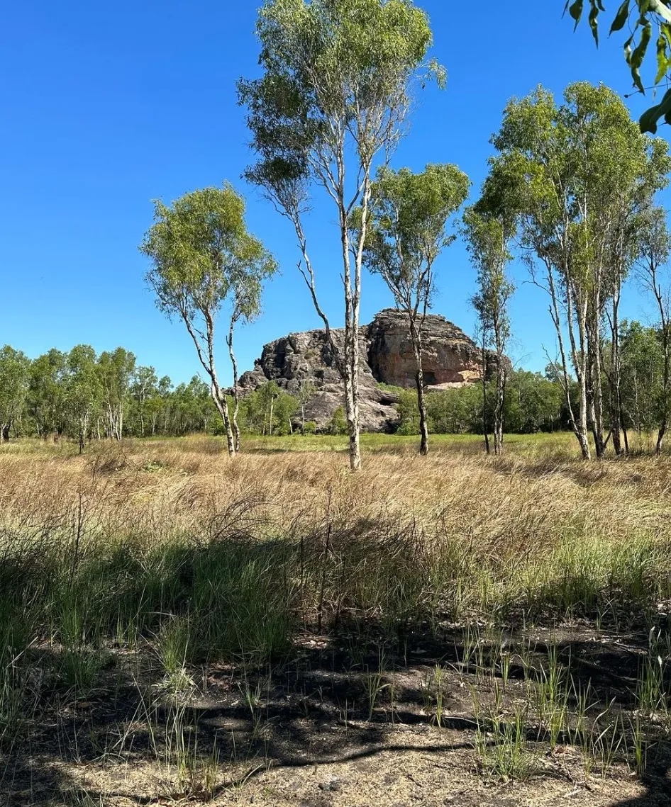 A Guide to the Best Bird-Watching Spots in Kakadu