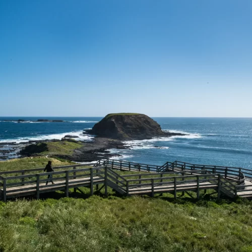Philip Island Tours